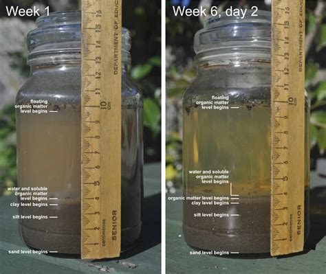 Soil Structure Clay And Humus Colloids