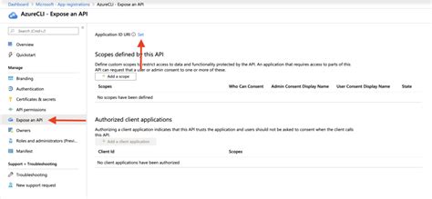 Recuperar Un Access Token Desde Azure Cli Returngis