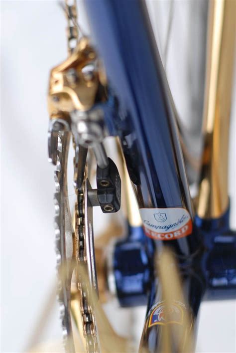 Ics Ital Cicli Systems Exclusive Bike Gold Plated Campagnolo C