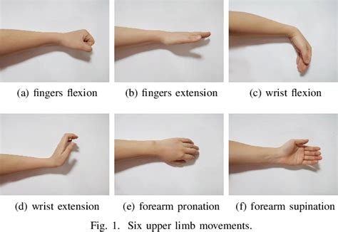 Figure From Analysis Of Eeg And Semg During Upper Limb Movement Between Hemiplegic And Normal
