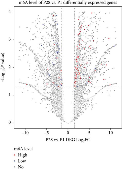Joint Analysis Of Gene Transcriptome And Methylation A Different Download Scientific Diagram