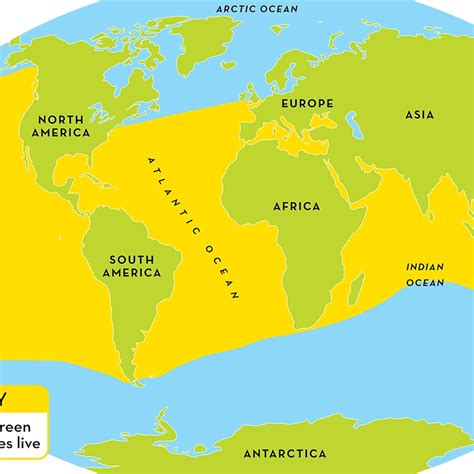 Where Do Sea Turtles Live On A Map At Norma Cuellar Blog
