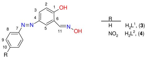 Proposed Structure Of The Ligands Download Scientific Diagram