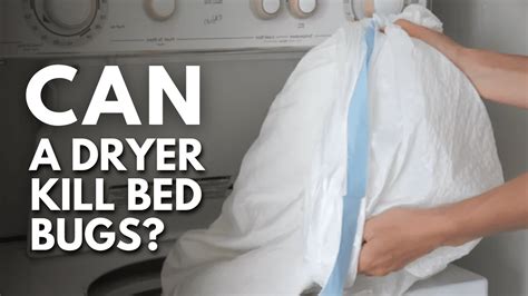 Will Dryer Sheets Kill Bed Bugs