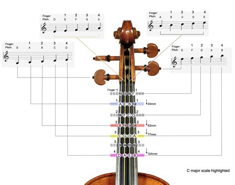 Violin Basic Chords At Michael Harbour Blog