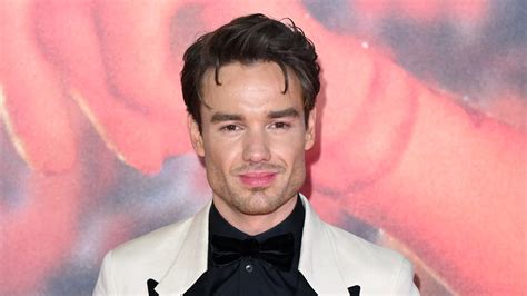 Liam Payne Checked Into Rehab Weeks Ago In Heartbreaking Bid To Beat Addiction Demons But Quit