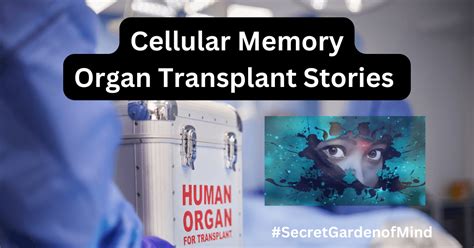 Cellular Memory Organ Transplant Stories Does This Really Happen S