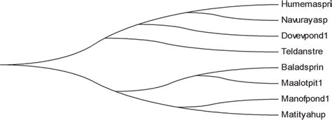 Calculated Standard Parameters Of Nucleotide Variation Among