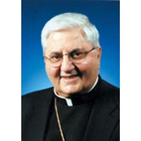 Nicholas Dattilos Instagram Twitter And Facebook On Idcrawl