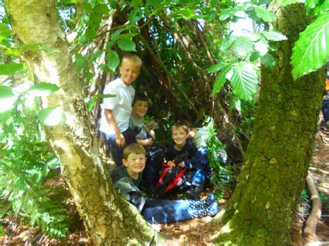 Ashdown Primary School 4gingko 2024 25