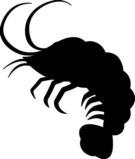 Shrimp Free Vector Silhouettes On
