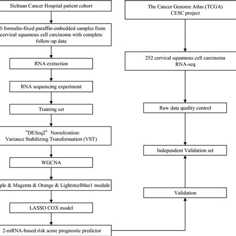 Flowchart Of The Prognostic Model Construction Process Download