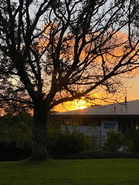 Sam Pascoe On Linkedin Watsonmarlowfalmouth Cornwall