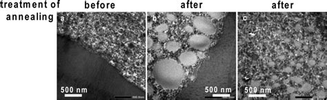 Tem Photographs Of Before And After Annealing A Interface With Pbtpa