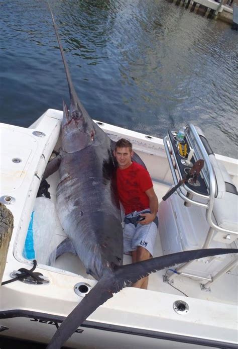 700 Pound Swordfish Drowning Worms