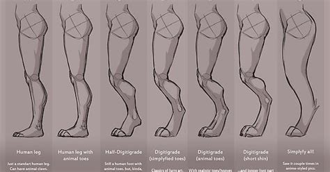 Hybrid Leg Structure Imgur