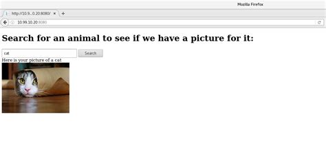 【技术分享】使用burp Macros和sqlmap绕过csrf防护进行sql注入 安全ker，安全资讯平台