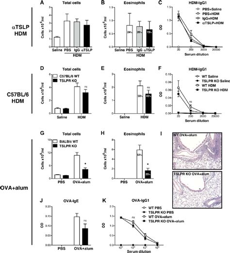 Fig E1 The Tslp Tslpr Axis Is Differentially Required In Ova And