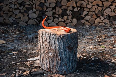 Standard Pulp Hook Sawmill Vallee Forestry Equipment