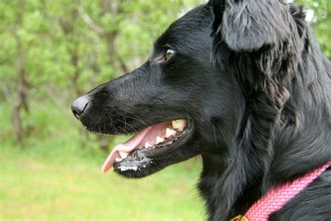 Betra Að Kveðja Degi Of Snemma En Degi Of Seint