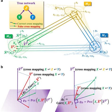 Direct Versus Indirect Causal Links A There Is Directional Interaction