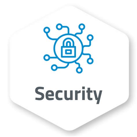 Silicon Sky Security