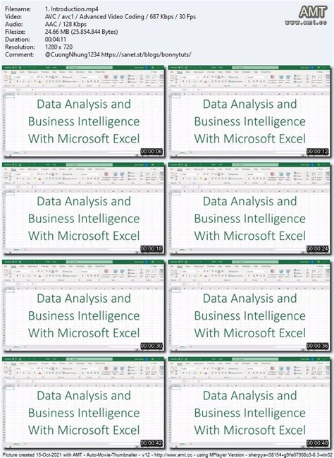 Data Analysis And Business Intelligence With Microsoft Excel Softarchive