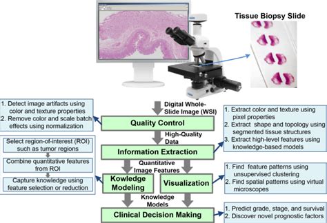 Wsi Quality Control Bio Miblab