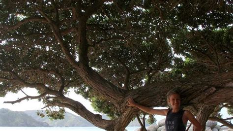 La Calaisienne Flavye Borys à La Conquête De Louest Américain à Pied Nord Littoral