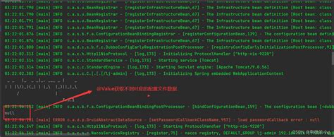 springboot2 6 3读取不到nacos上的配置文件 springboot读取不到nacos配置 csdn博客