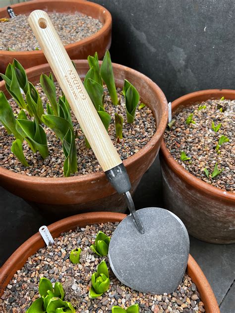 Signature Dutch Style Planting Trowel Dan Cooper Garden