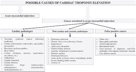 5 Common Elevated Troponin Causes And Their Impact On Heart Health