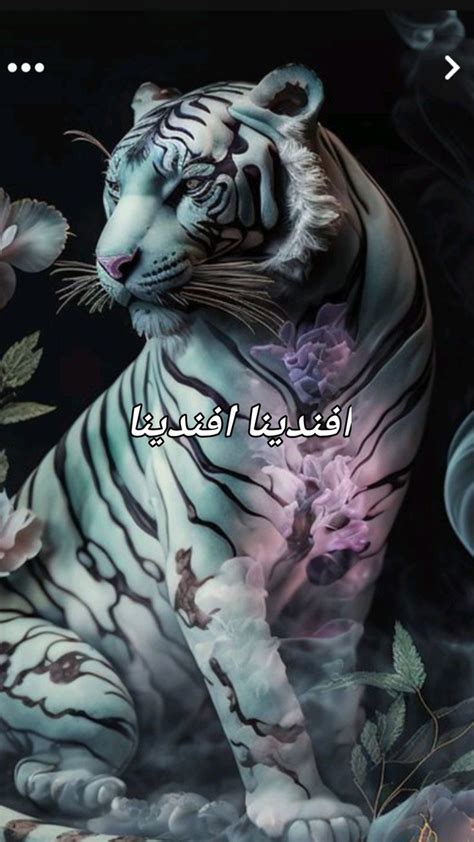 افندينا افندينا Dieren Gezichten Dieren Kunst Dieren Fotos