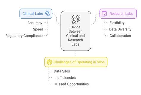 Lis Lab Solutions Transforming Clinical And Research Labs Efficiency