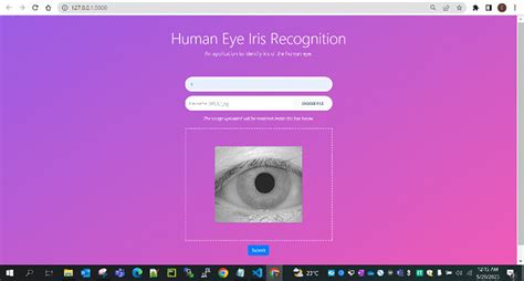 Snapshot Of Human Eye Recognition System Download Scientific Diagram
