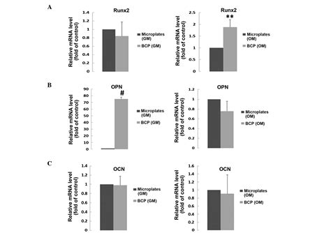Characterization Of Human Periodontal Ligament Cells Cultured On Three Dimensional Biphasic