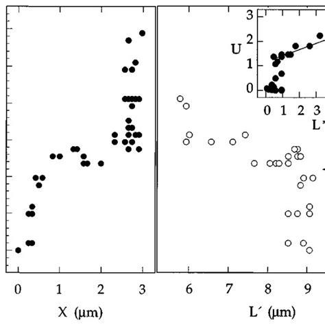 Three Images In The Aspiration Of A Discoid Shape Note That The