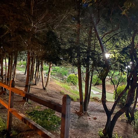 Mini Put 2025 All You Need To Know Before You Go With Reviews