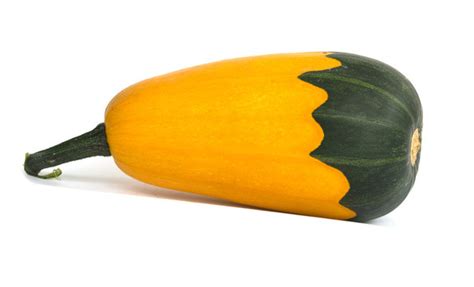 Cukini Bilder Bläddra Bland 244 Stockfoton Vektorer Och Videor Adobe Stock