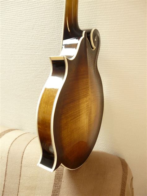 Fabrication Dune Mandoline Bluegrass F5 La Belle Note