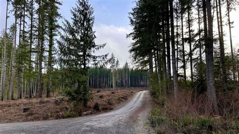 Capitol Forest D 4000 Washington Gps Trail Map Conditions And Difficulty Onx Offroad