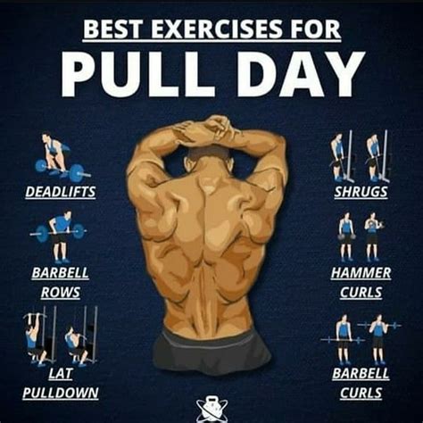 Pull Day Workout 30 Workout And Tips Artofit