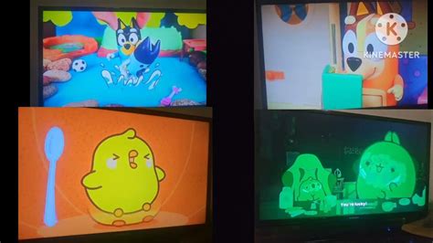 Up To Faster 4 Parison To Bluey And Molang Youtube