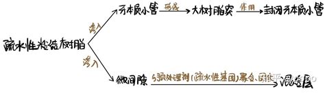 牙本质粘结机制 知乎