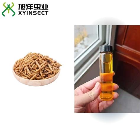 Bsf Oil Black Soldier Fly Oil Feed Oil Feed Lipids