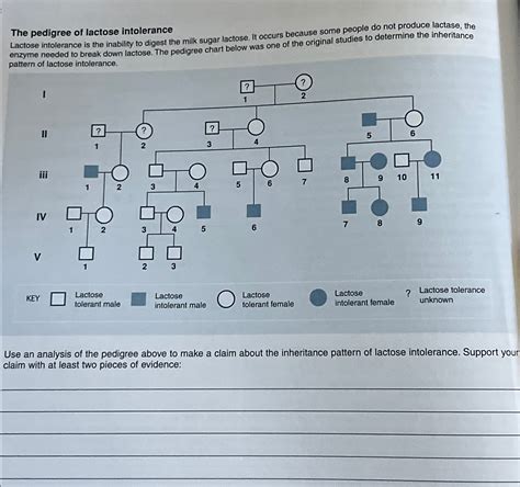 Solved The Pedigree Of Lactose Intolerancelactose