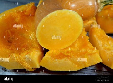 Squash Pumpkin Or Gourd Cucurbita Is A Genus Of Herbaceous Fruits In