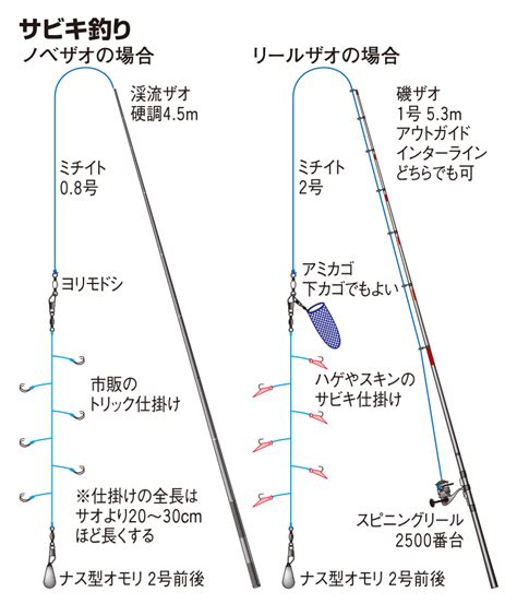 ウルメイワシの仕掛け（サビキ釣り） 釣魚図鑑（特徴・仕掛け・さばき方） Honda釣り倶楽部 Honda公式サイト