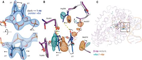 Time Resolved Crystallography Captures Light Driven Dna Repair Science