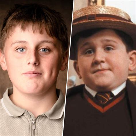 Harry Potter Hbo Show Full Cast Guide